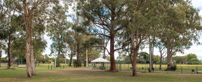 Project FAQs | Cosmos Park Upgrade, Banksia Beach | Your Say Moreton Bay