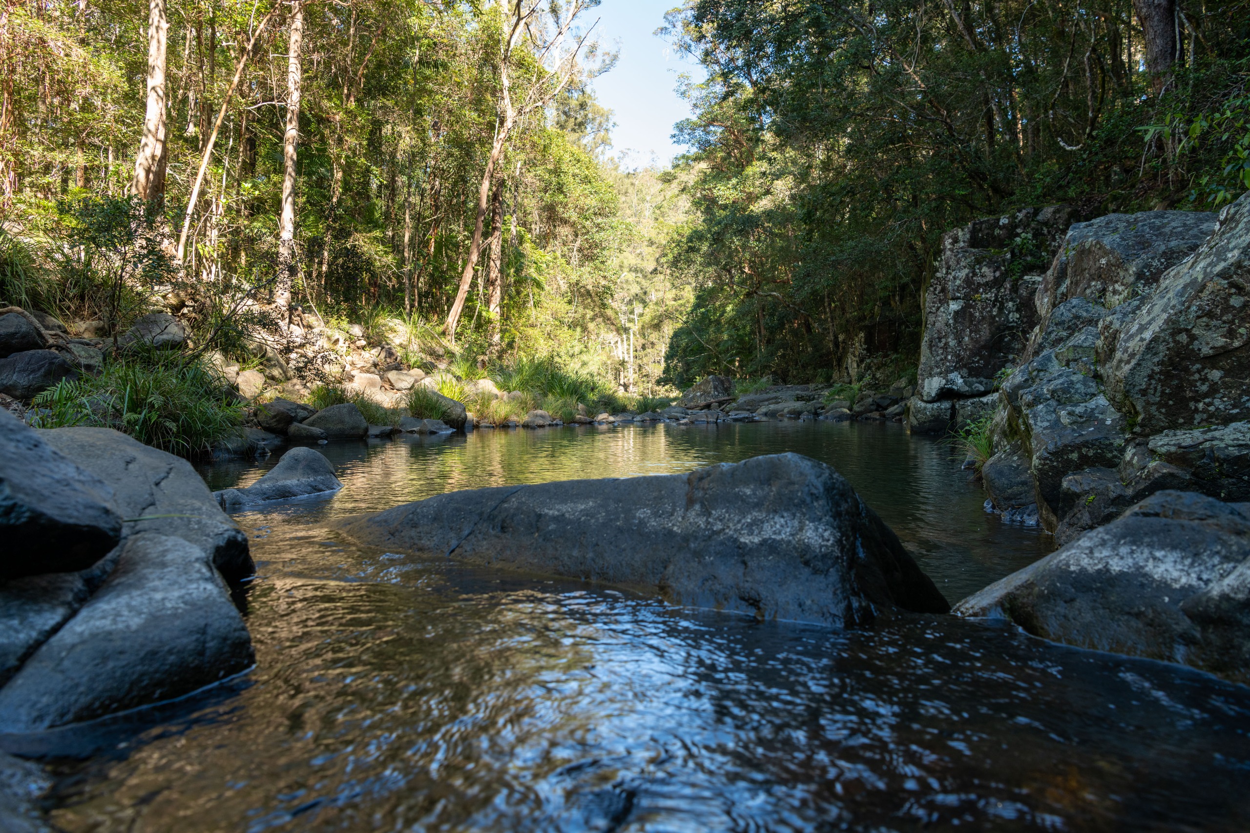 Biodiversity Plan | Your Say Moreton Bay