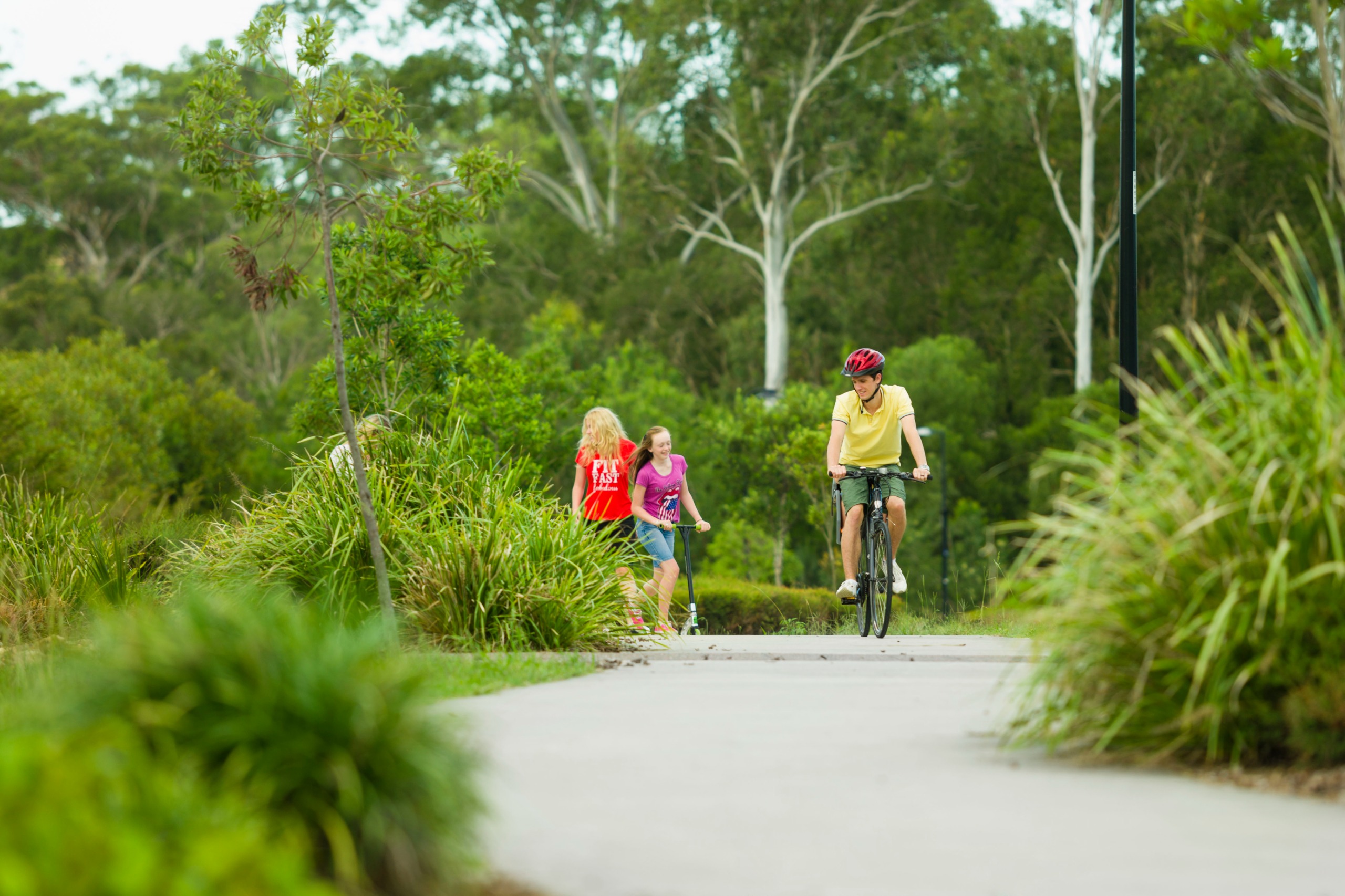 Shaping Morayfield South and city-wide Designated Bushfire Prone Areas ...