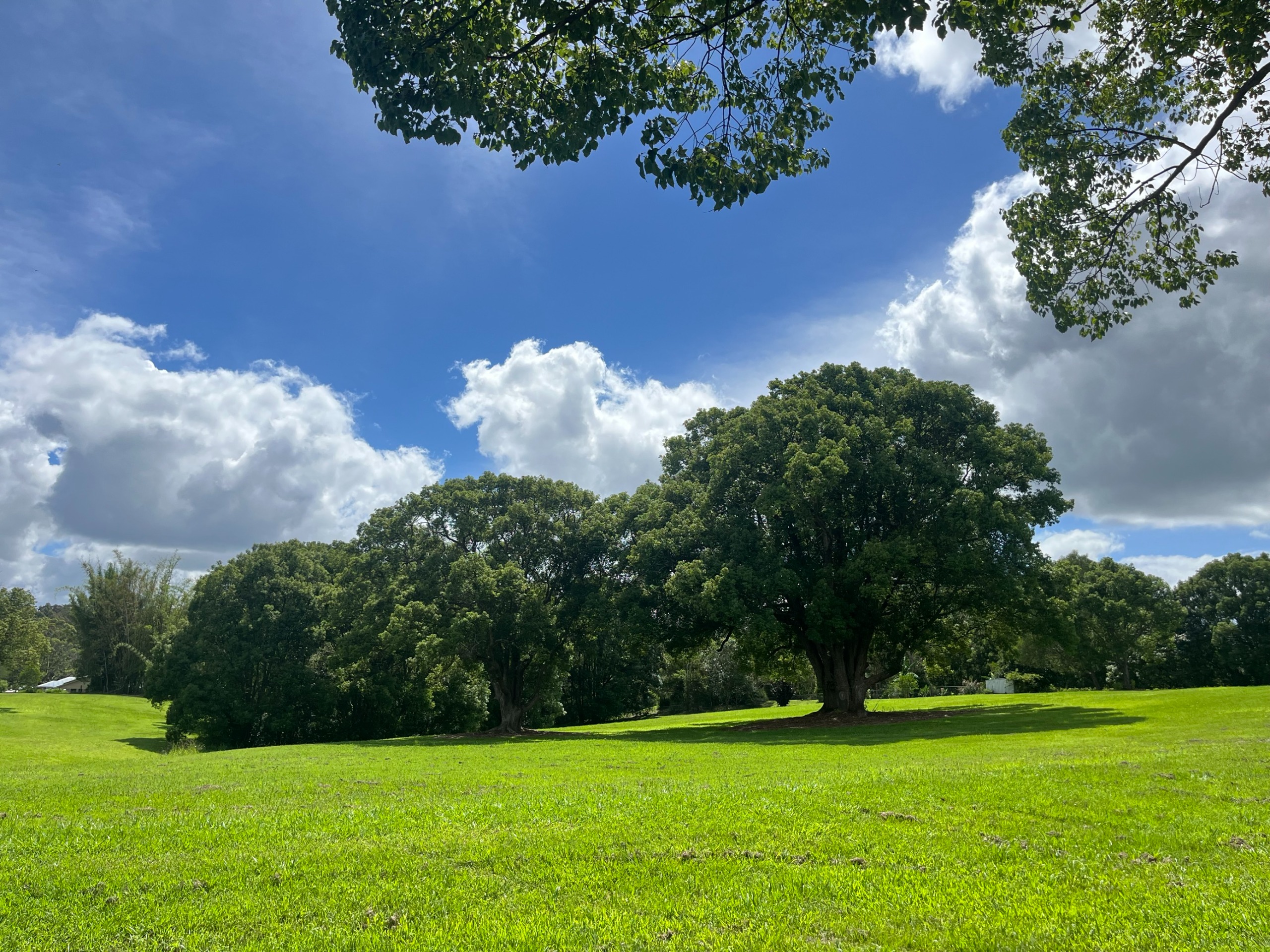 Wamuran District Park | Your Say Moreton Bay